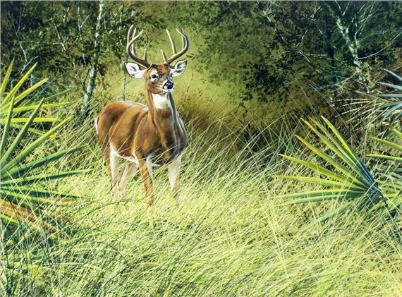 Lee Cable | Deer (1979) | MutualArt