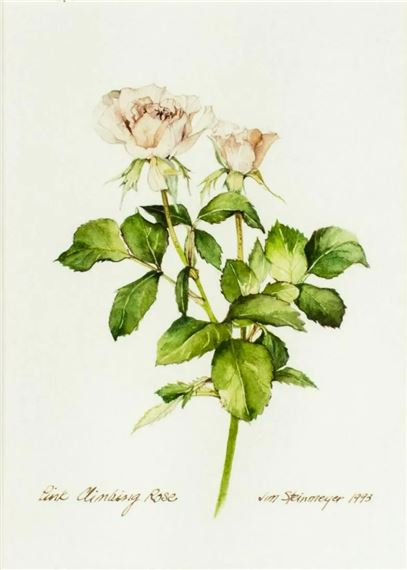 James M. Steinmeyer | Pink Climbing Roses (1993) | MutualArt