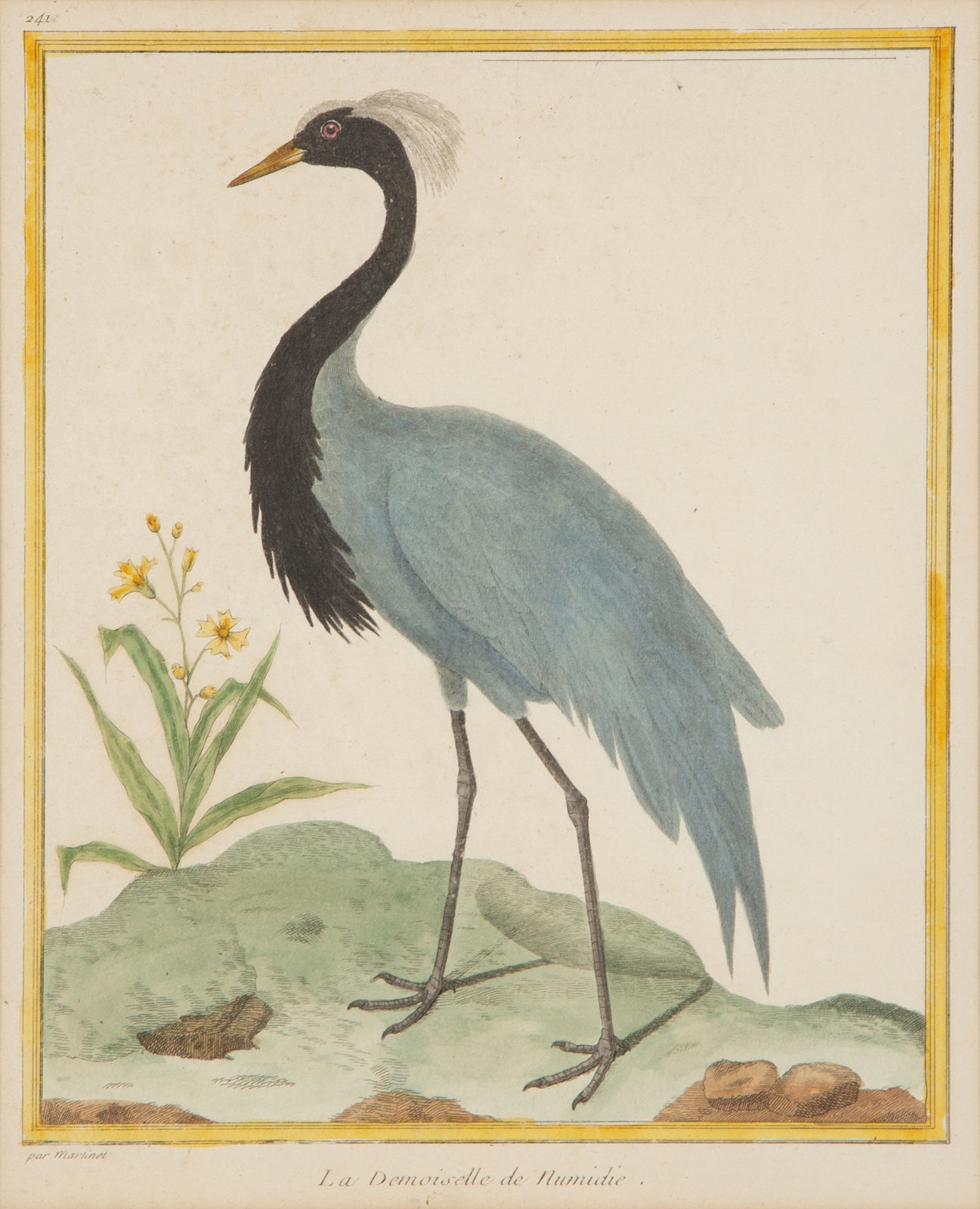 François Nicolas Martinet | Four Bird Prints after Francoise Martinet's ...