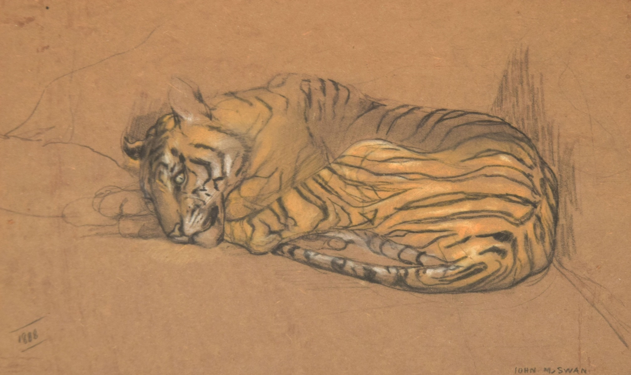John Macallan Swan | Tiger (1888) | MutualArt