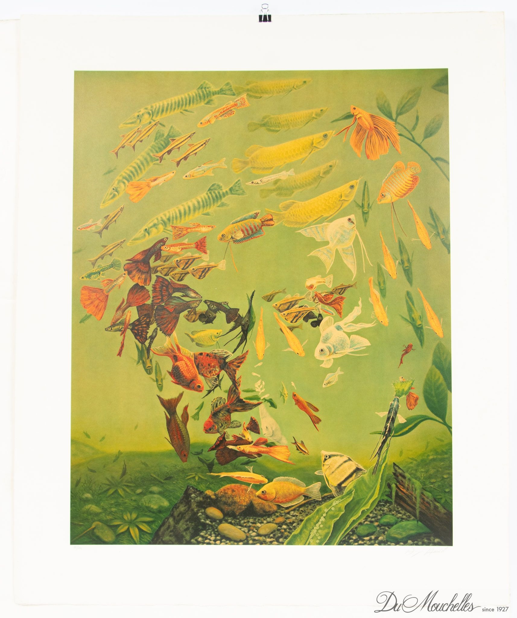 Doug Auld | SURREALIST FISH PORTRAIT | MutualArt