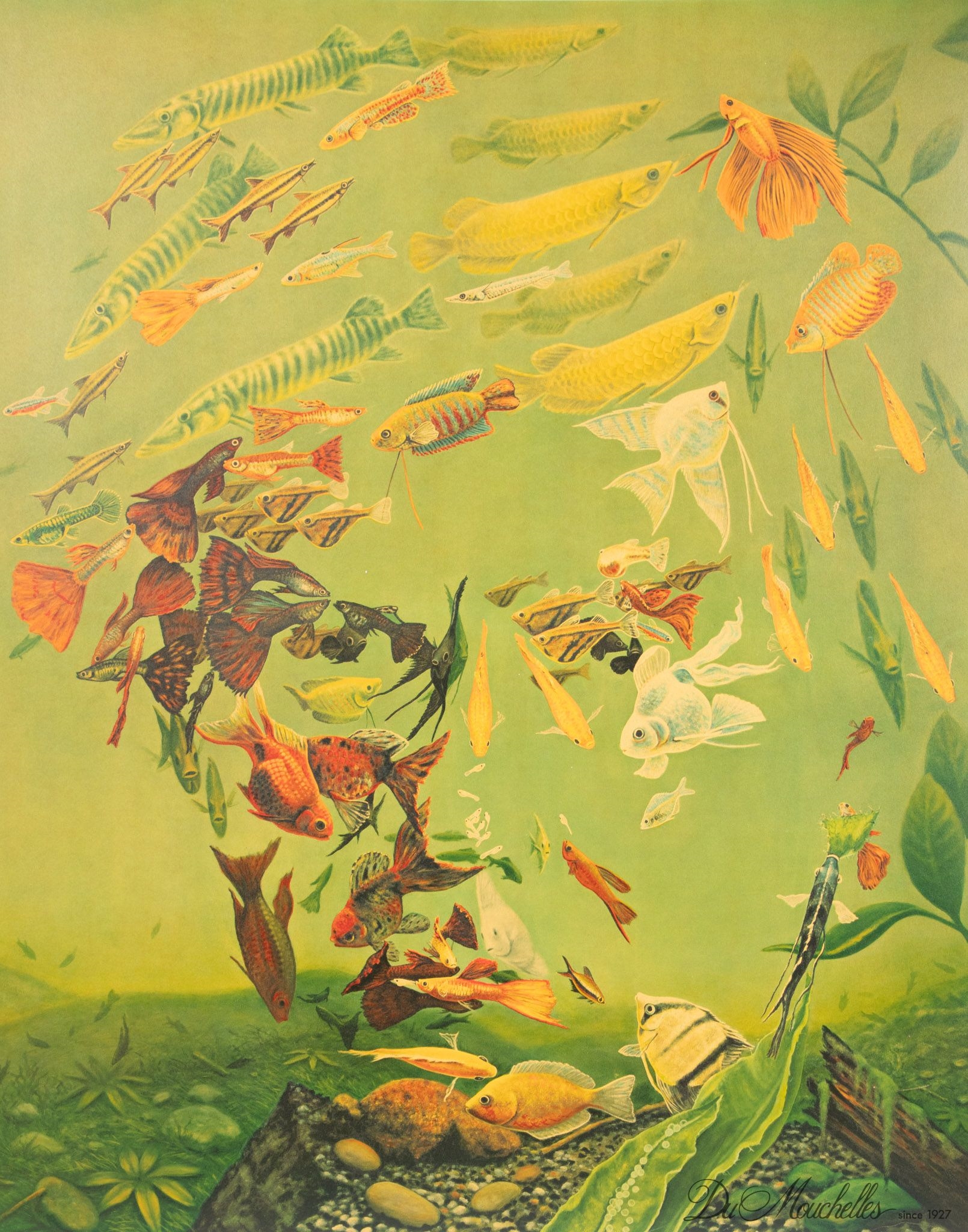 Doug Auld | SURREALIST FISH PORTRAIT | MutualArt