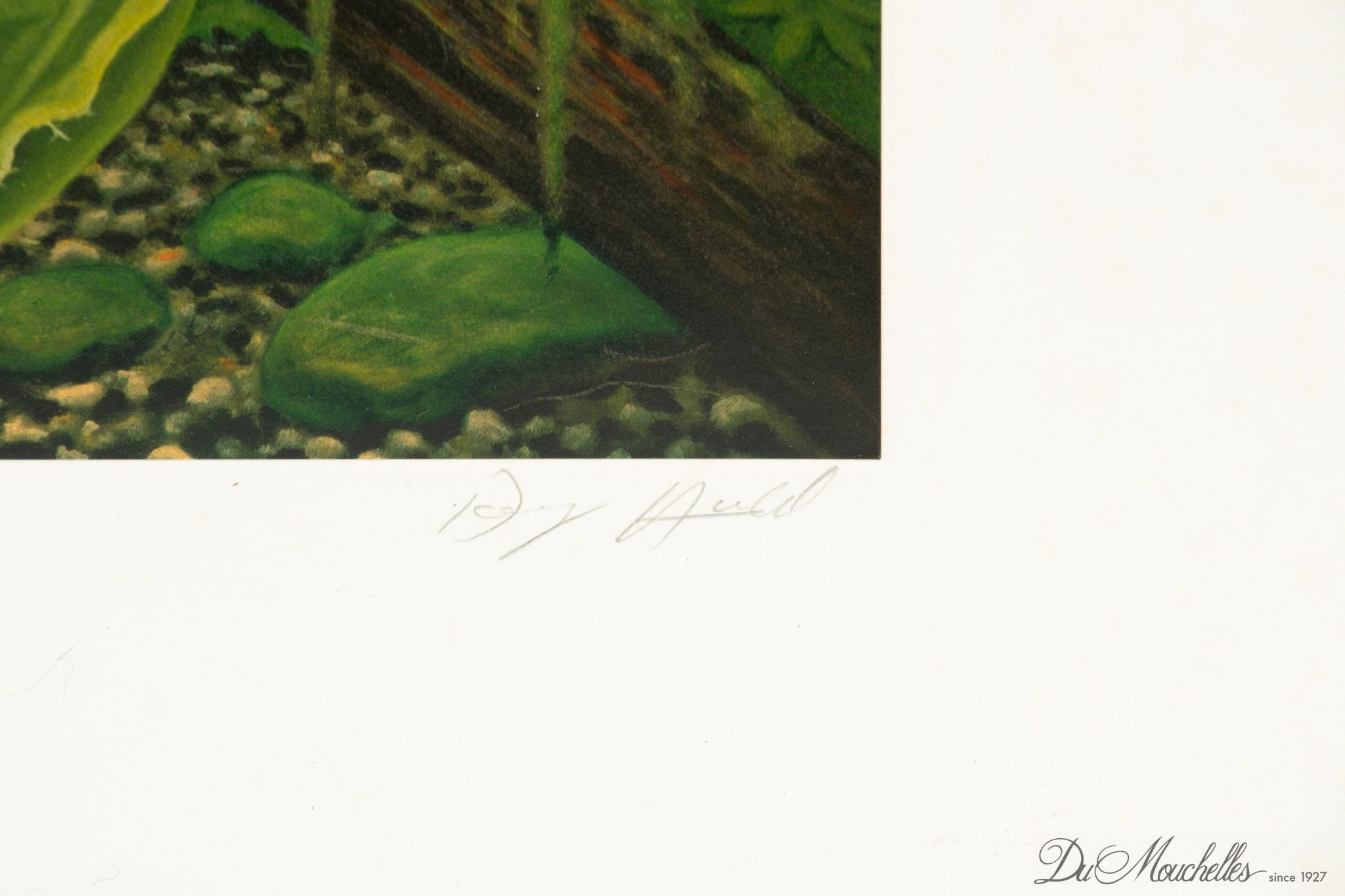 Doug Auld | SURREALIST FISH PORTRAIT | MutualArt