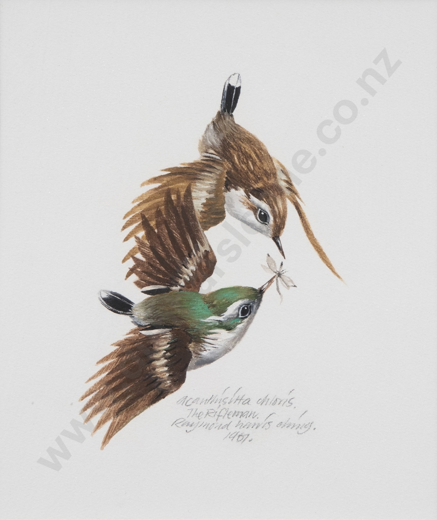 Raymond Harris Ching | The Rifleman | MutualArt