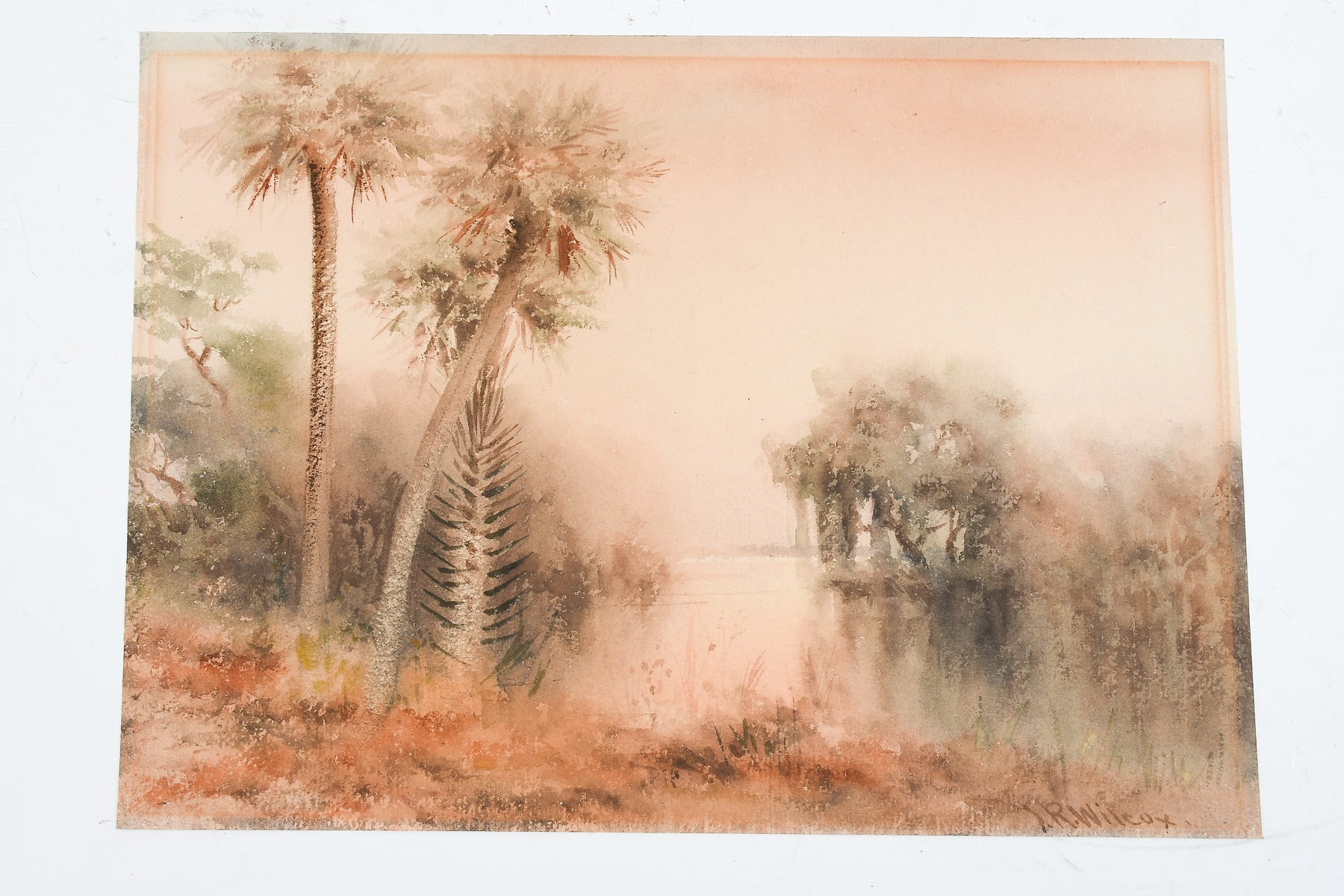 James Ralph Wilcox | Tomoka River Palms | MutualArt