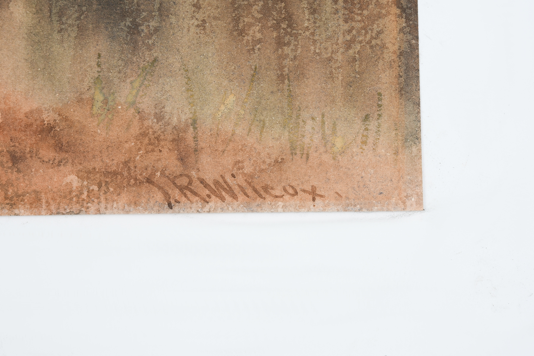 James Ralph Wilcox | Tomoka River Palms | MutualArt