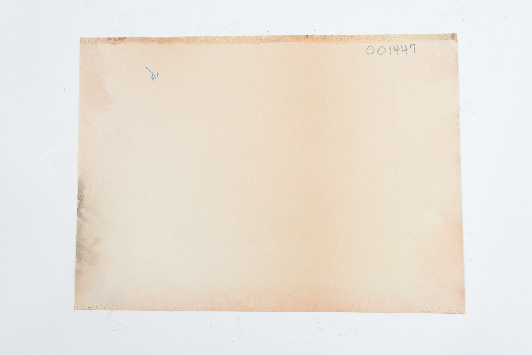 James Ralph Wilcox | Tomoka River Palms | MutualArt