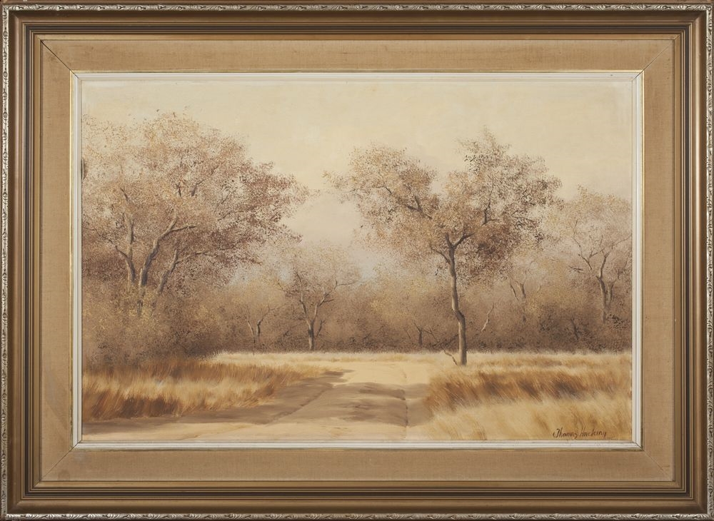 Thomas Hacking | Stofpad In The Bosveld | MutualArt