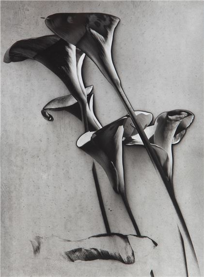 Man Ray | Calla Lilies | MutualArt