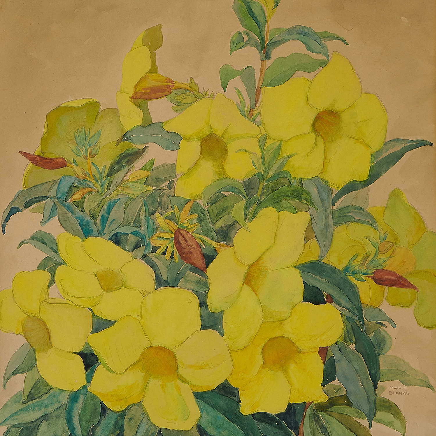 Marie Elsa Blanke | Still life with flowers | MutualArt