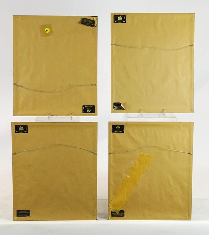 Steve Shepard | Steve Shepard Outsider Artwork | MutualArt