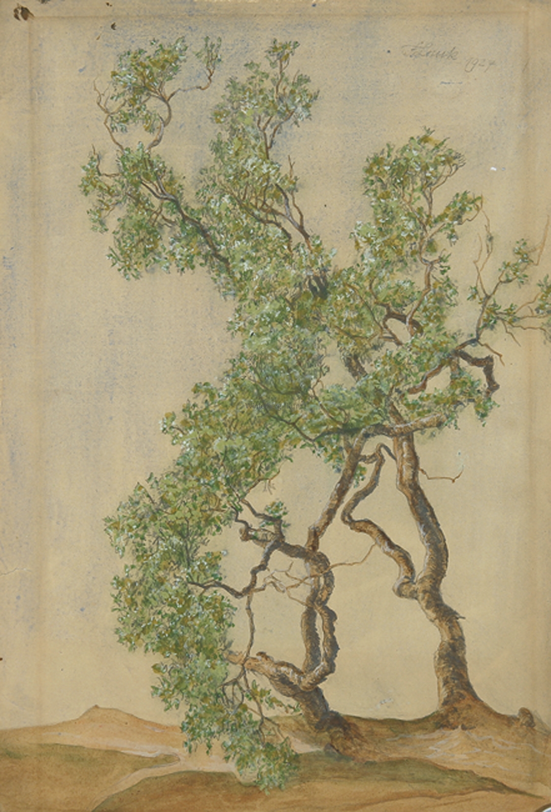 Franz Lenk | Baum in Landschaft (1927) | MutualArt