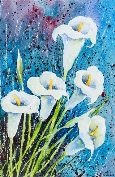 Sheela Thomas | Biography