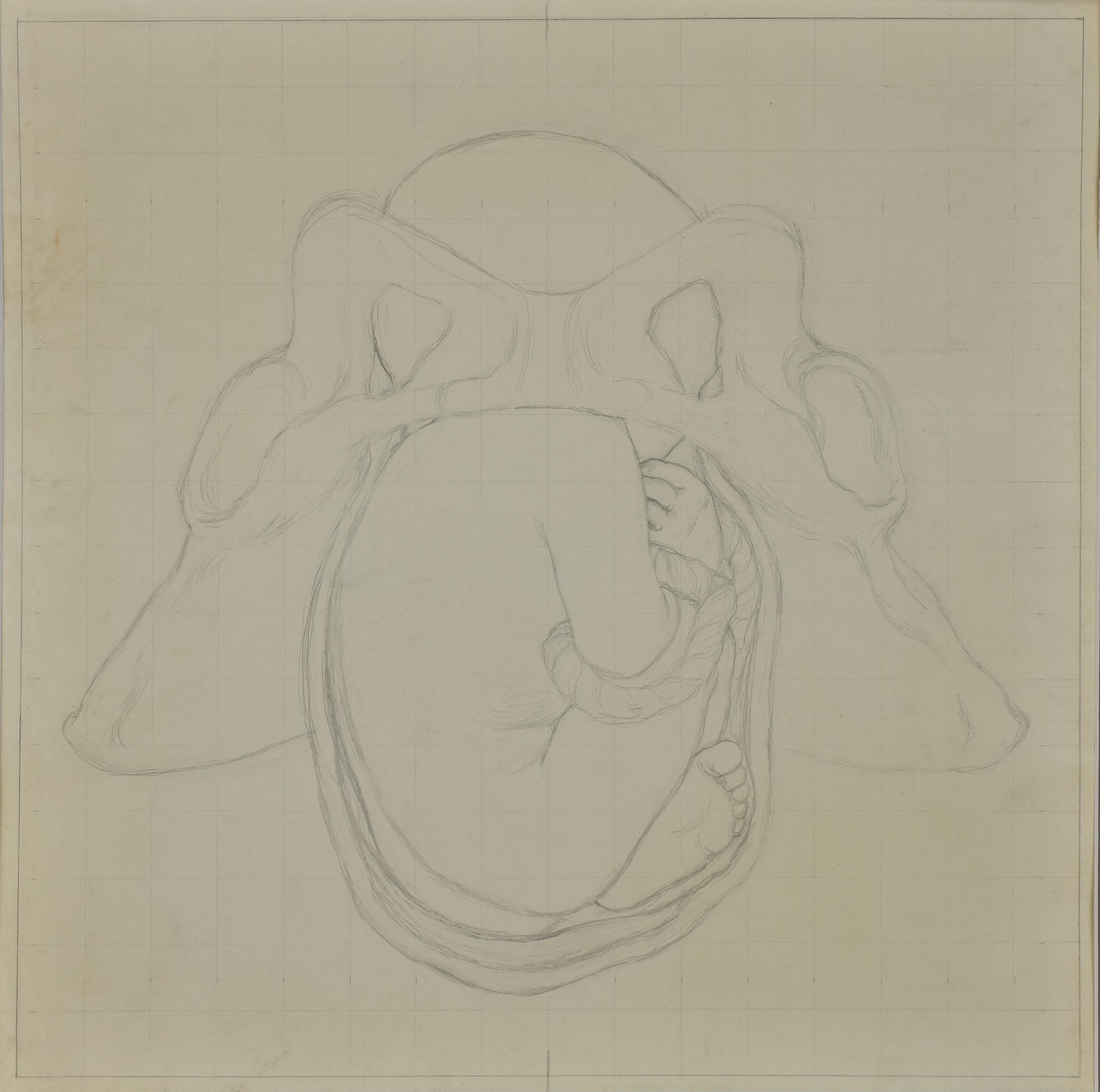 Jared French | Untitled | MutualArt