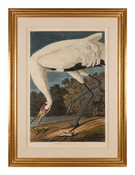 John James Audubon | Grus Americana | MutualArt