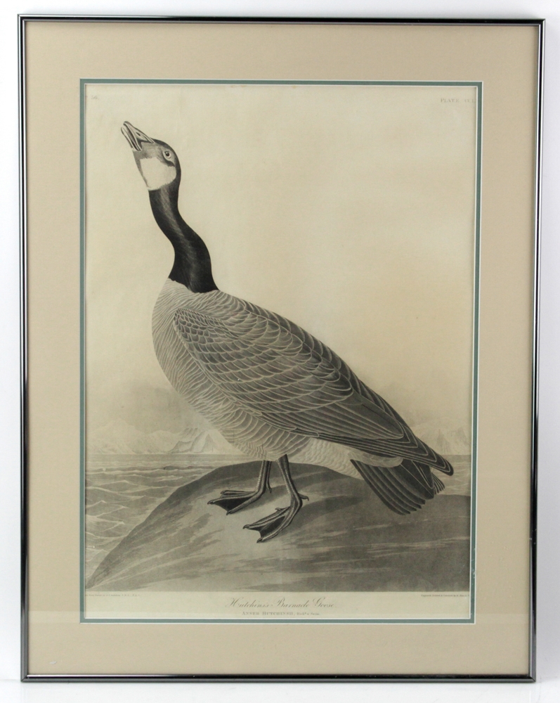 John James Audubon | Hutchins Barnacle Goose | MutualArt