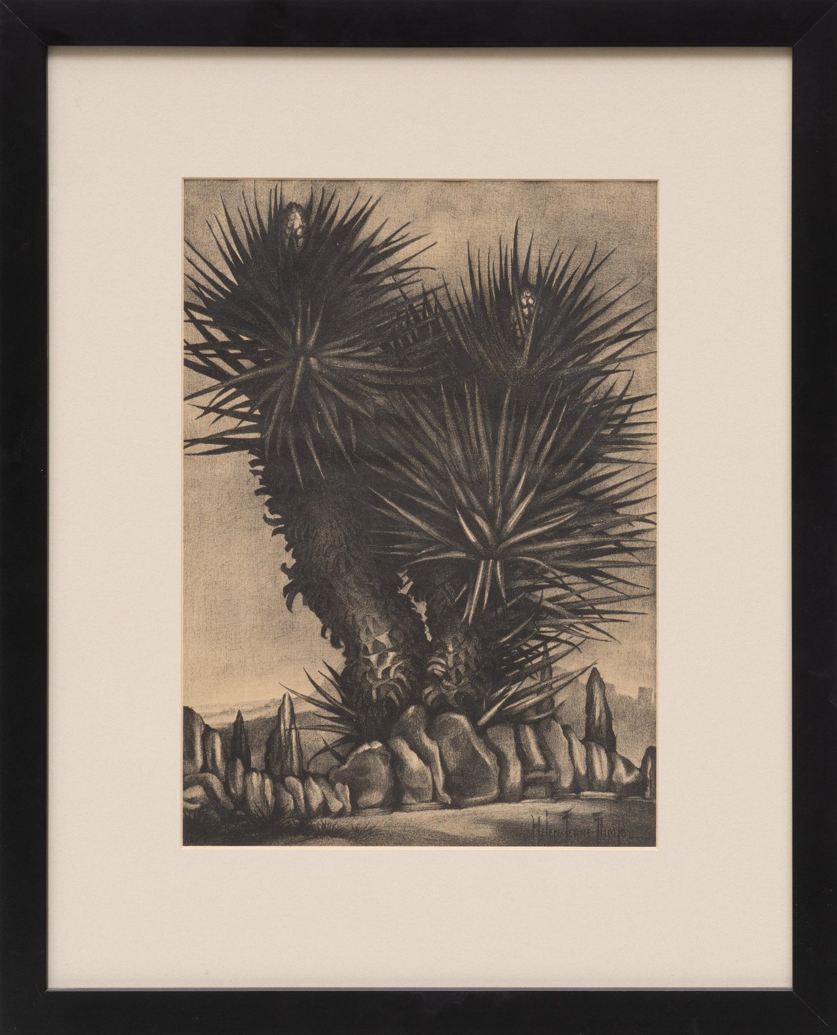 Helen Ferne Slimp | Flowering Yucca | MutualArt