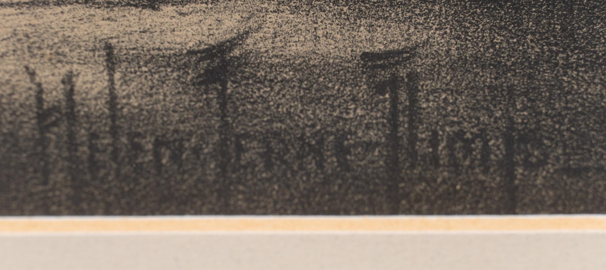 Helen Ferne Slimp | Flowering Yucca | MutualArt