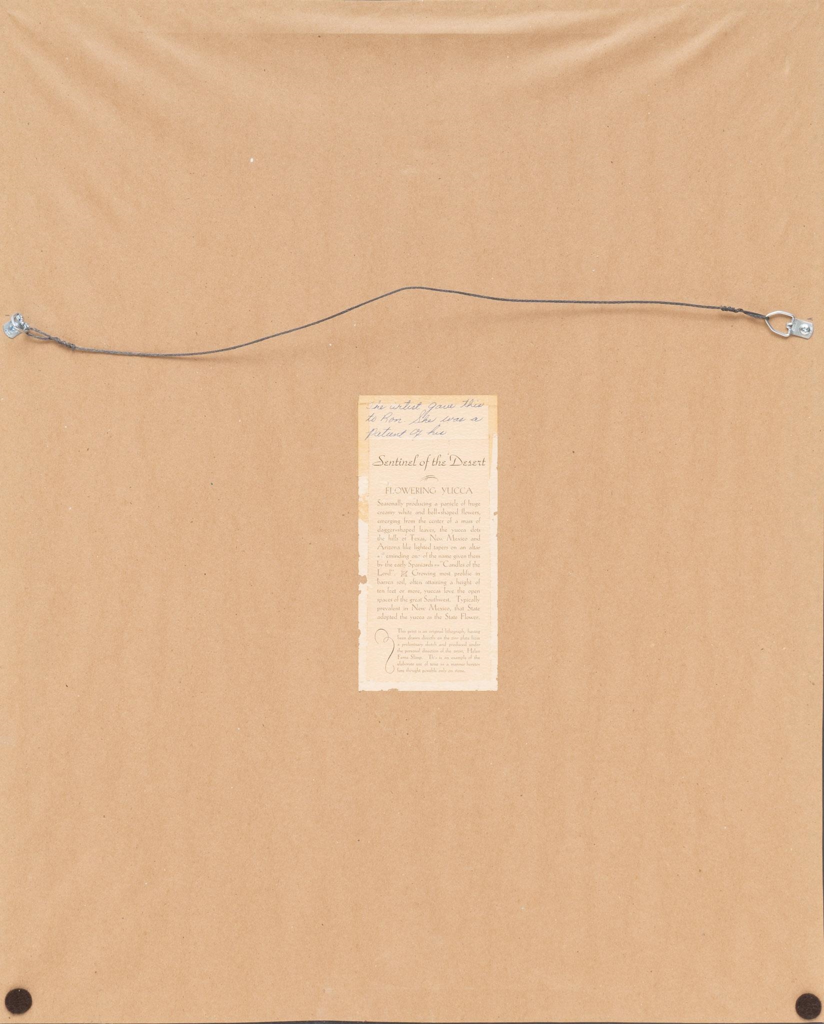 Helen Ferne Slimp | Flowering Yucca | MutualArt