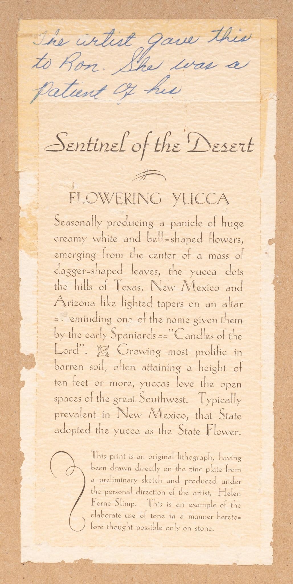 Helen Ferne Slimp | Flowering Yucca | MutualArt