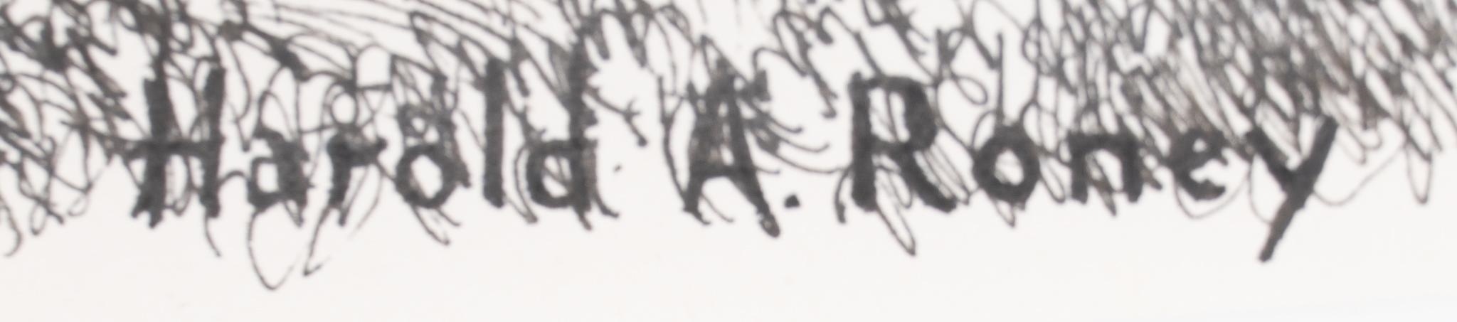 Harold Arthur Roney | Canyons | MutualArt