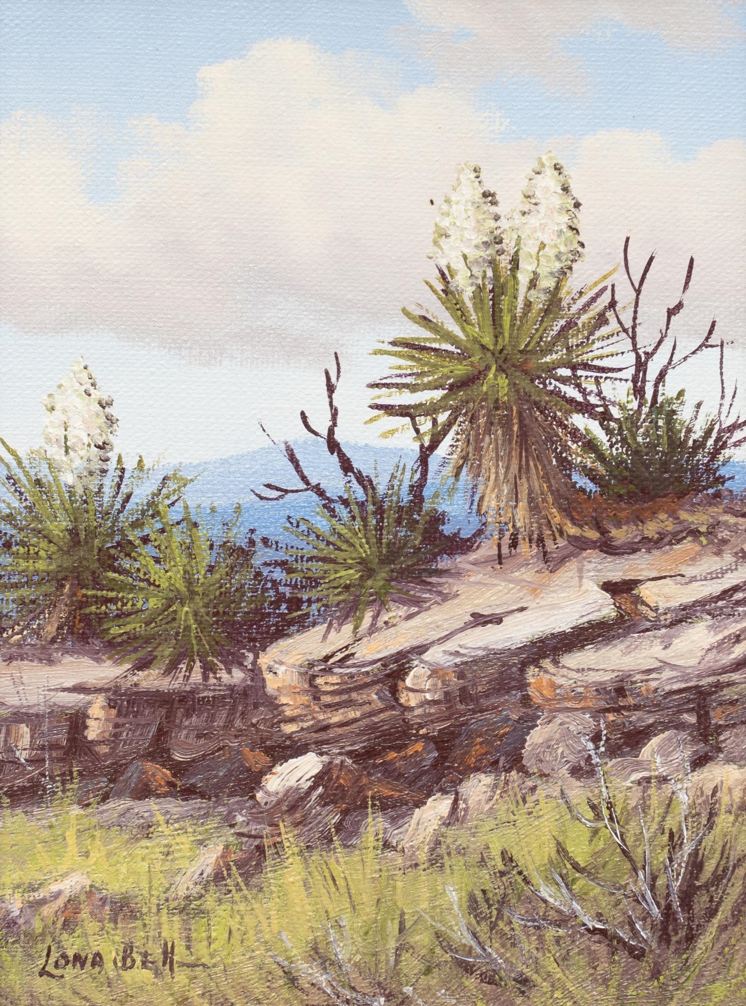 Lona Bell | Yucca. | MutualArt