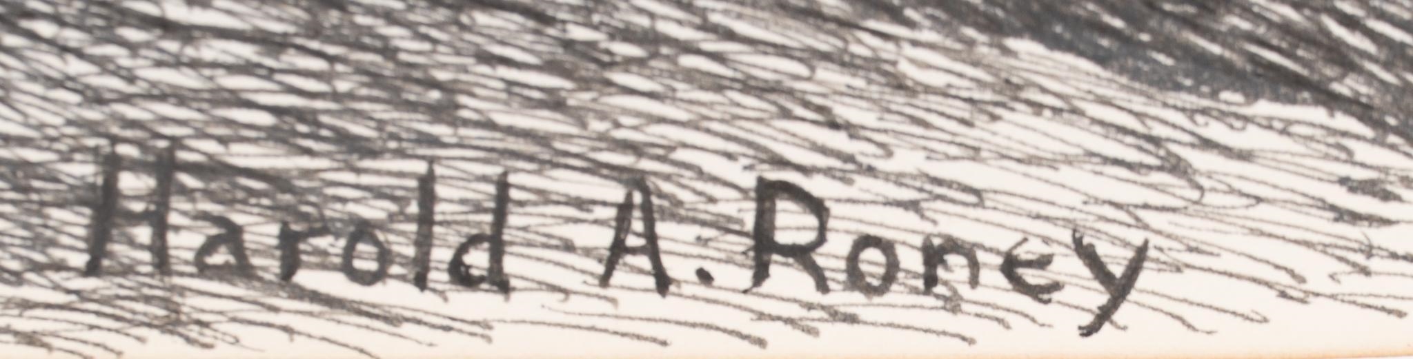 Harold Arthur Roney | Texas canyon | MutualArt