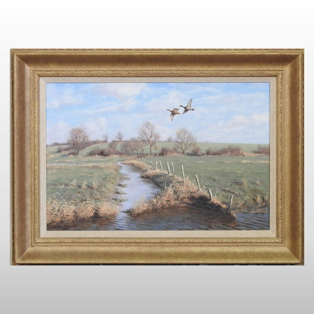 Julian Novorol | Ducks in flight (1996) | MutualArt