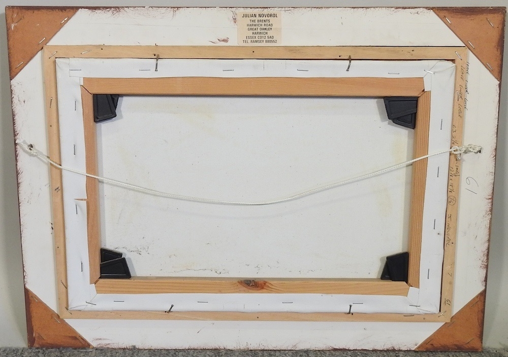 Julian Novorol | Ducks in flight (1996) | MutualArt