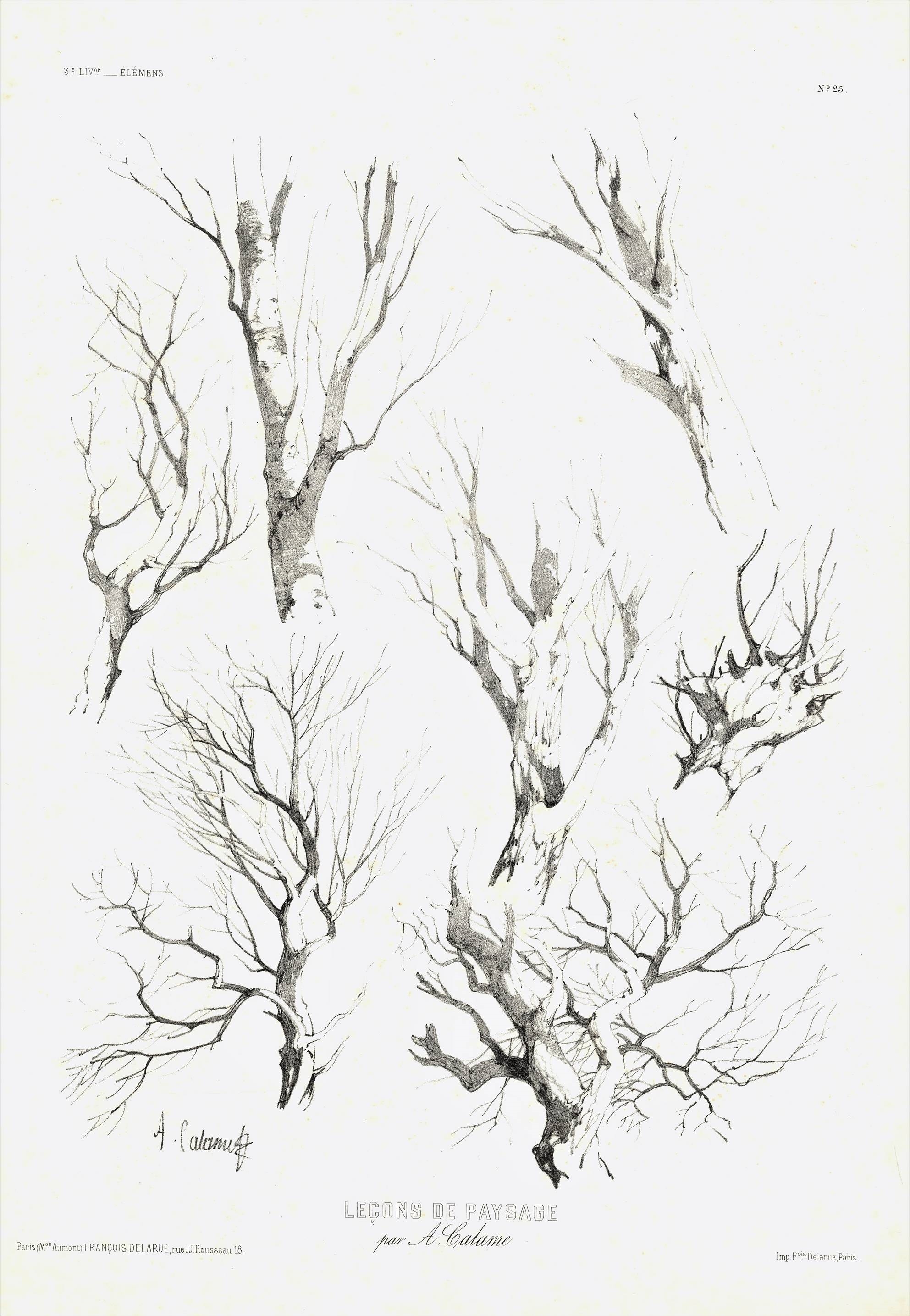 Alexandre Calame | Lecons de paysage | MutualArt