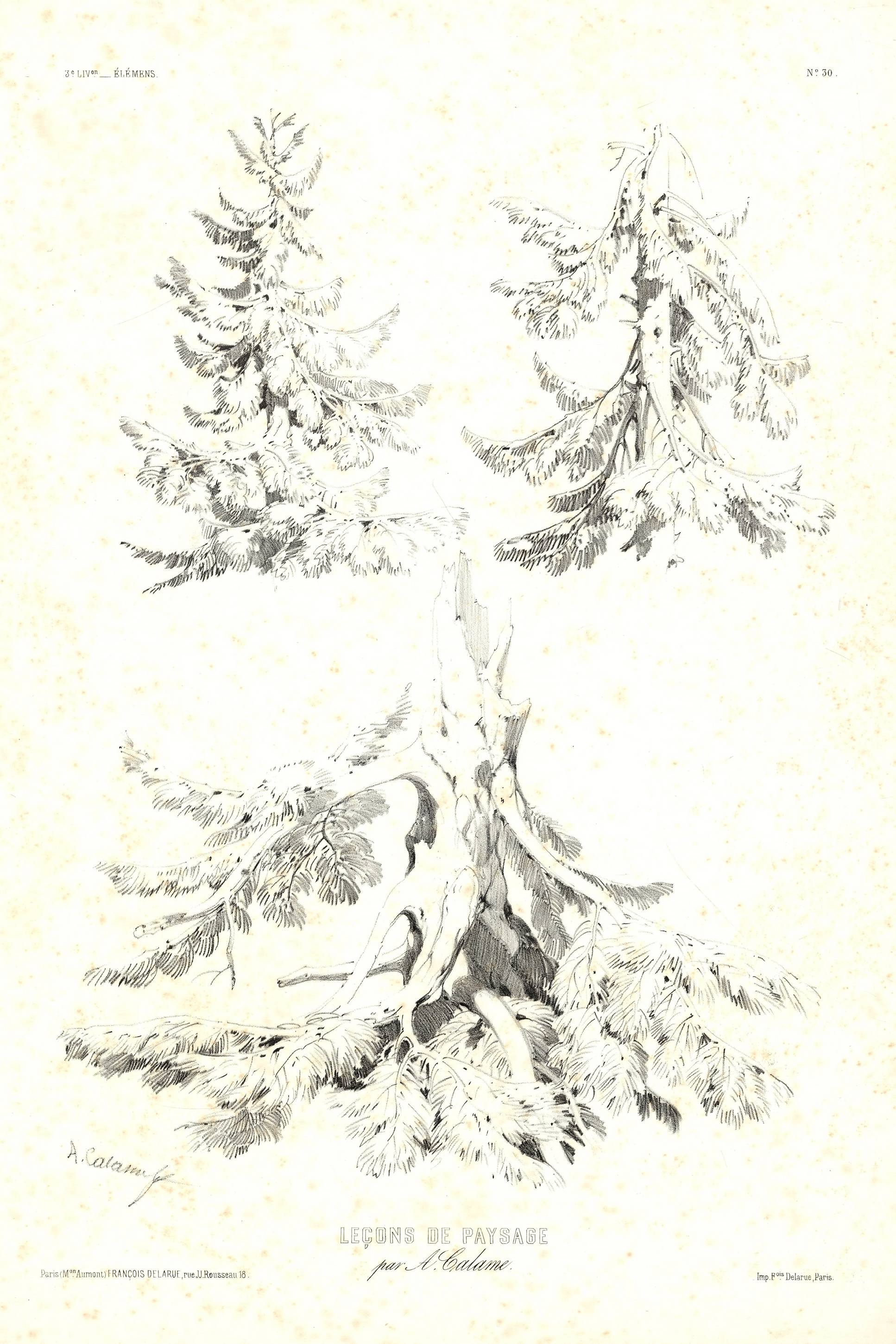 Alexandre Calame | Lecons de paysage | MutualArt