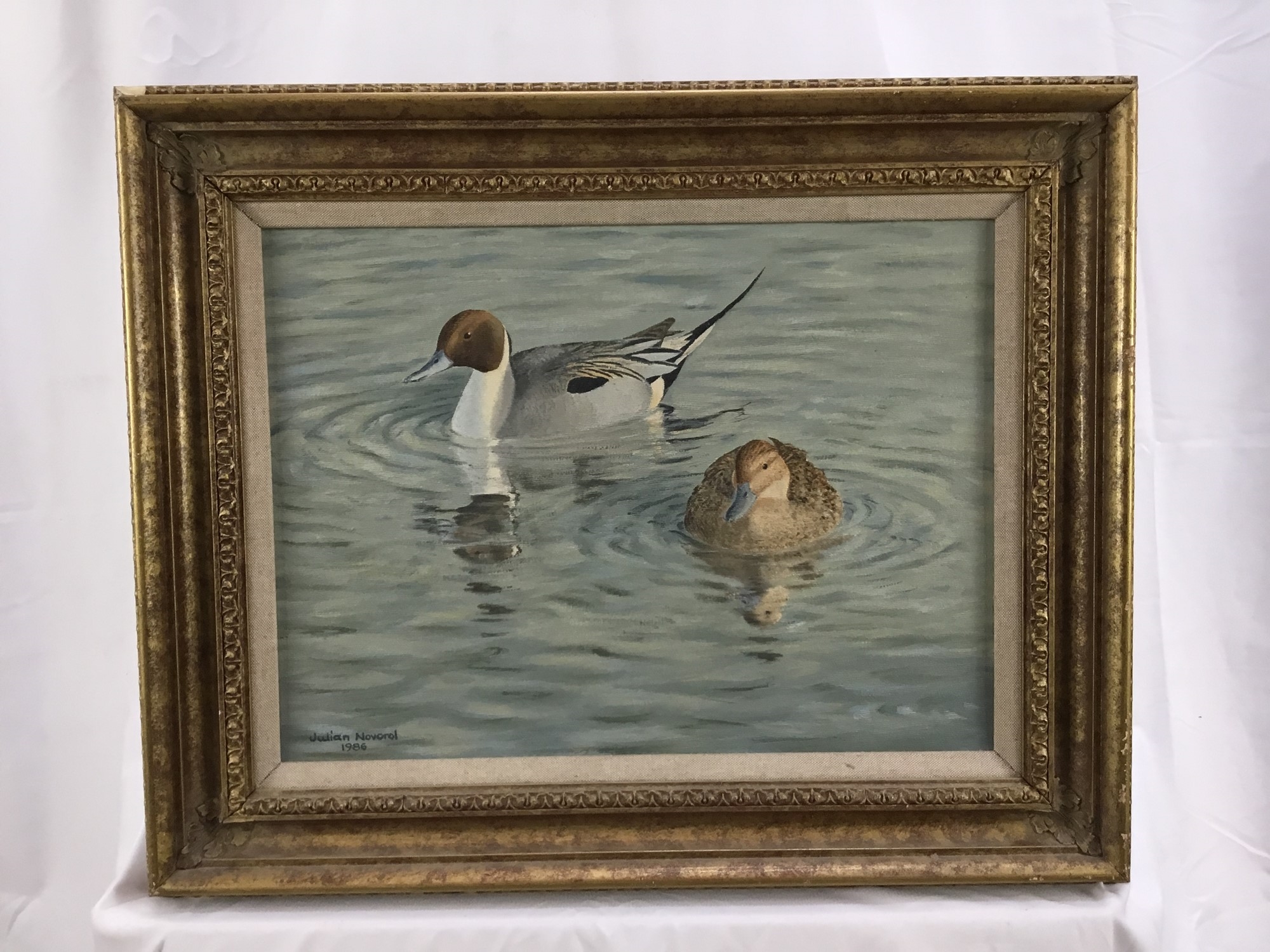 Julian Novorol | Pintails on the water | MutualArt