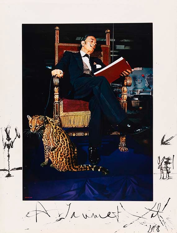 Salvador Dalí | Portrait photographique de Salvador Dalí et l'ocelot ...