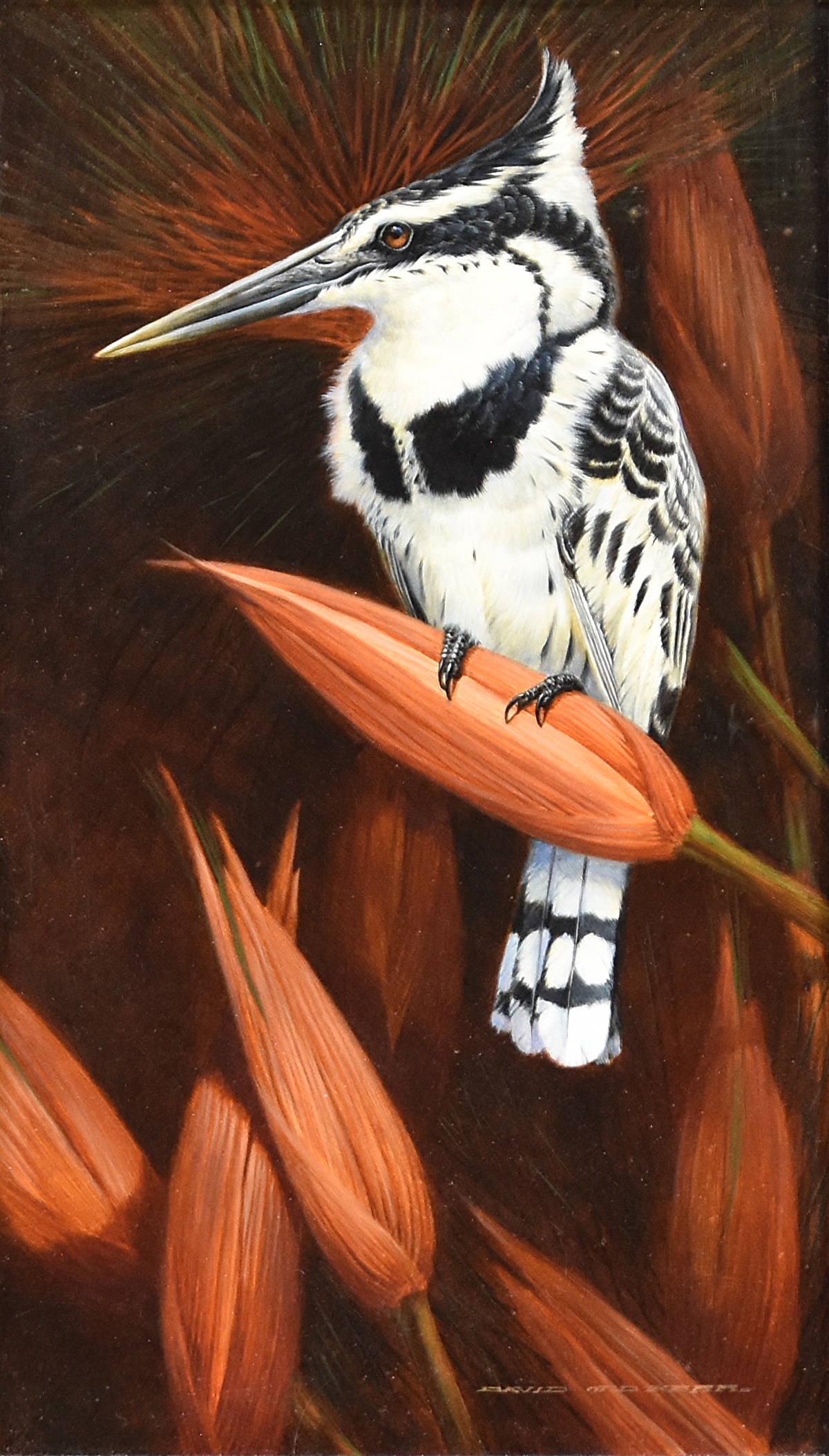 David Ord Kerr | Pied Kingfisher | MutualArt