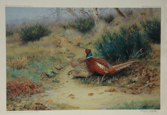 Richard Robjent | Connected raptor | MutualArt