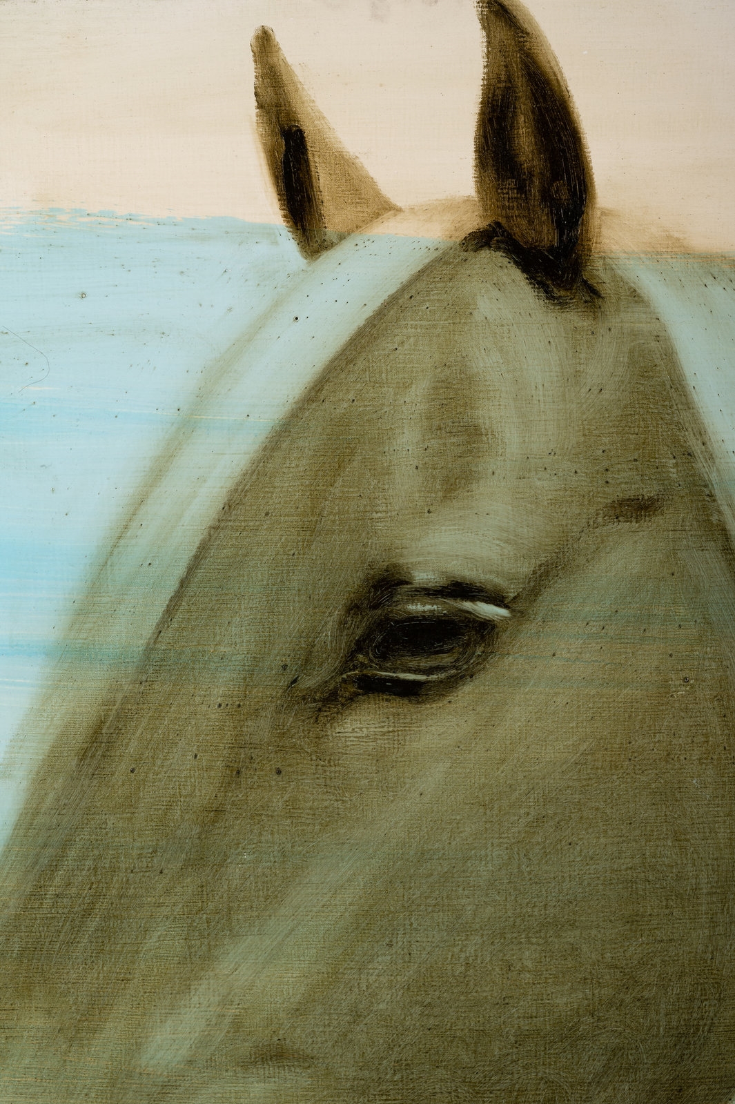 Joe Andoe | Untitled (Horse Head) (2002) | MutualArt