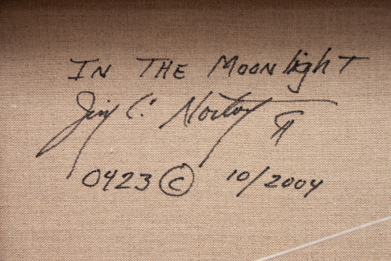 Jim Norton | In the Moonlight (2004) | MutualArt