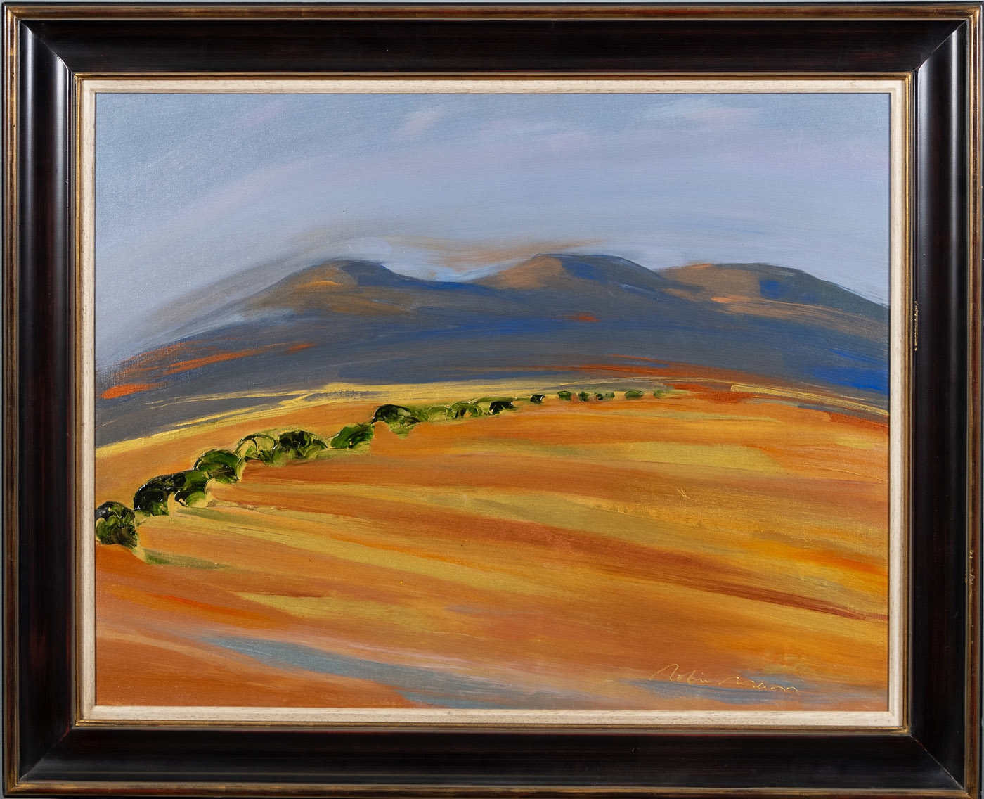 Robin Mann | landscape | MutualArt