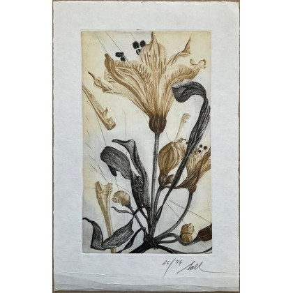 Fred Nall Hollis | Raffigurante fiori | MutualArt