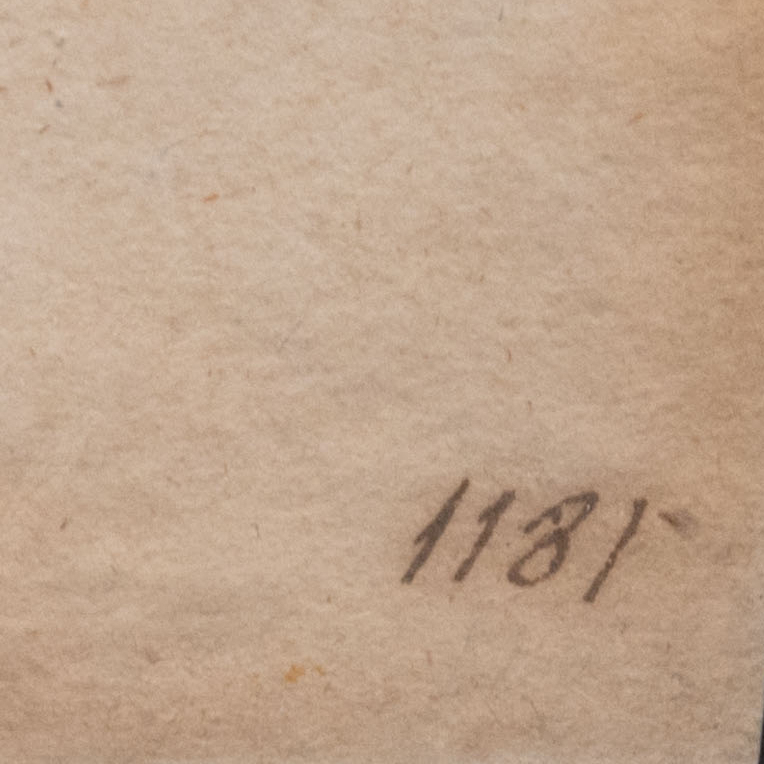 Martin Lister | Historica Conchyliorum Libri 4, Sectio XIII: One Plate ...