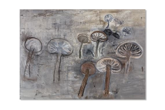 Terry Winters | Colony (1983) | MutualArt