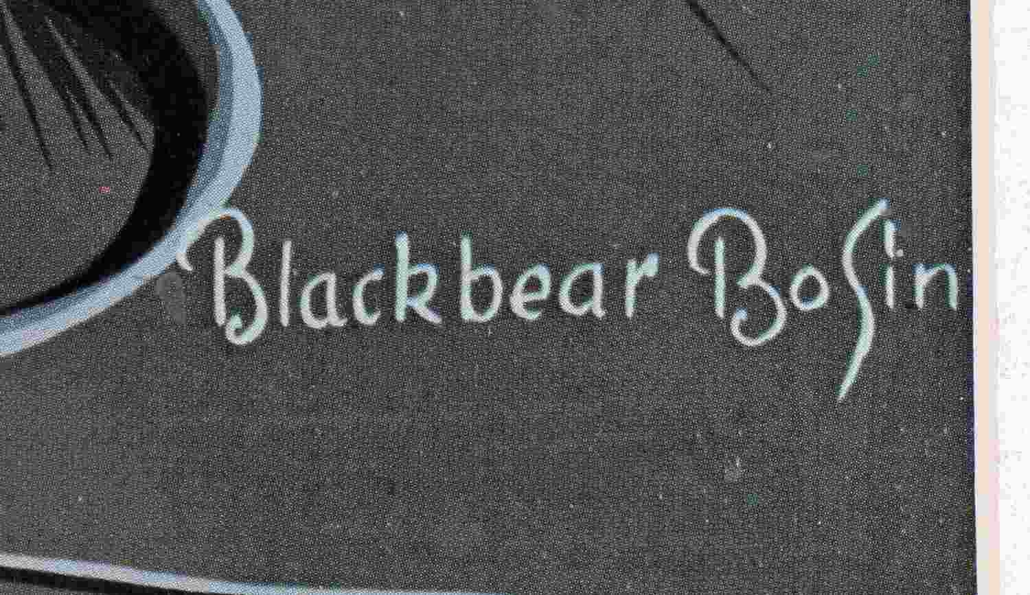 Blackbear Bosin | Night Singer | MutualArt