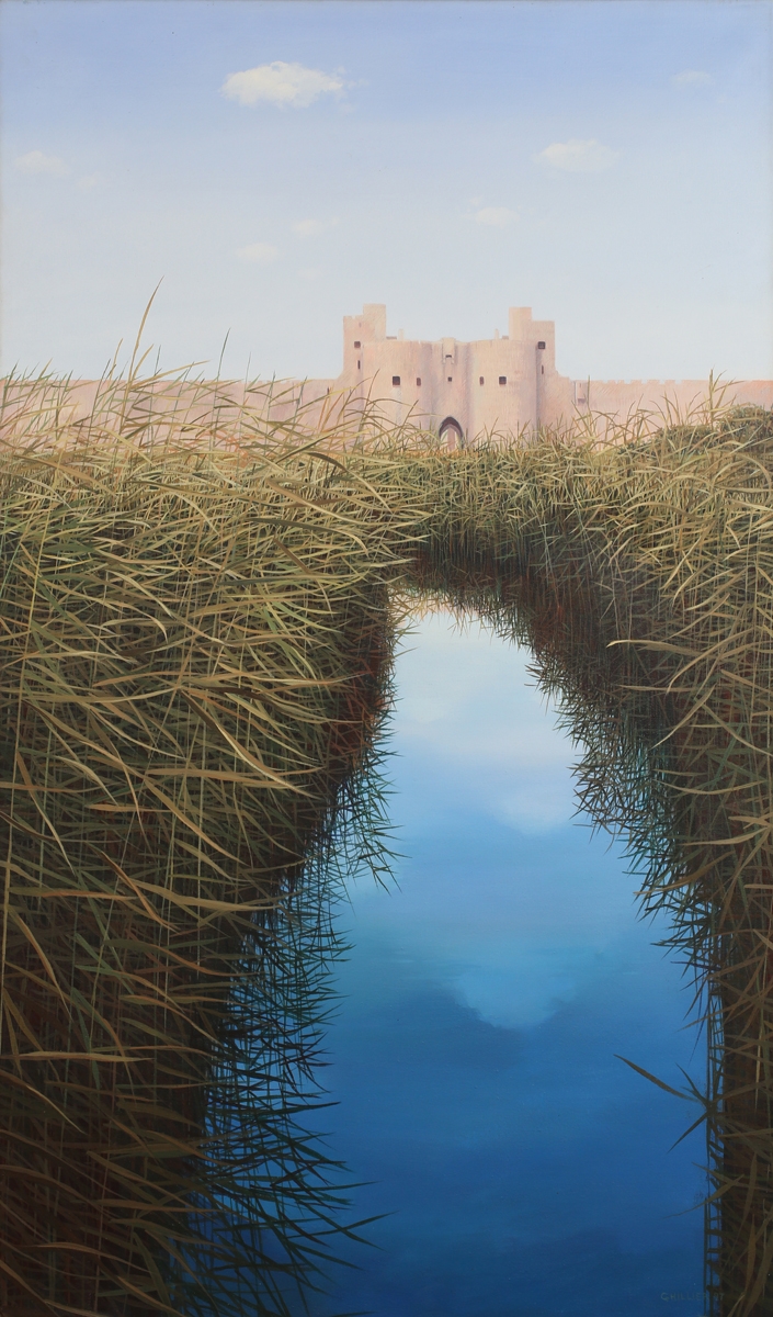 Graham Hillier | From Les Salins du Midi towards Aigues-Mortes, France ...