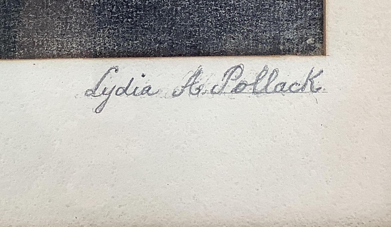 Lydia A. Pollack | Lifesaving Practice | MutualArt