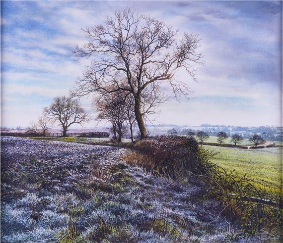 Martin Taylor | Tree in Winter | MutualArt