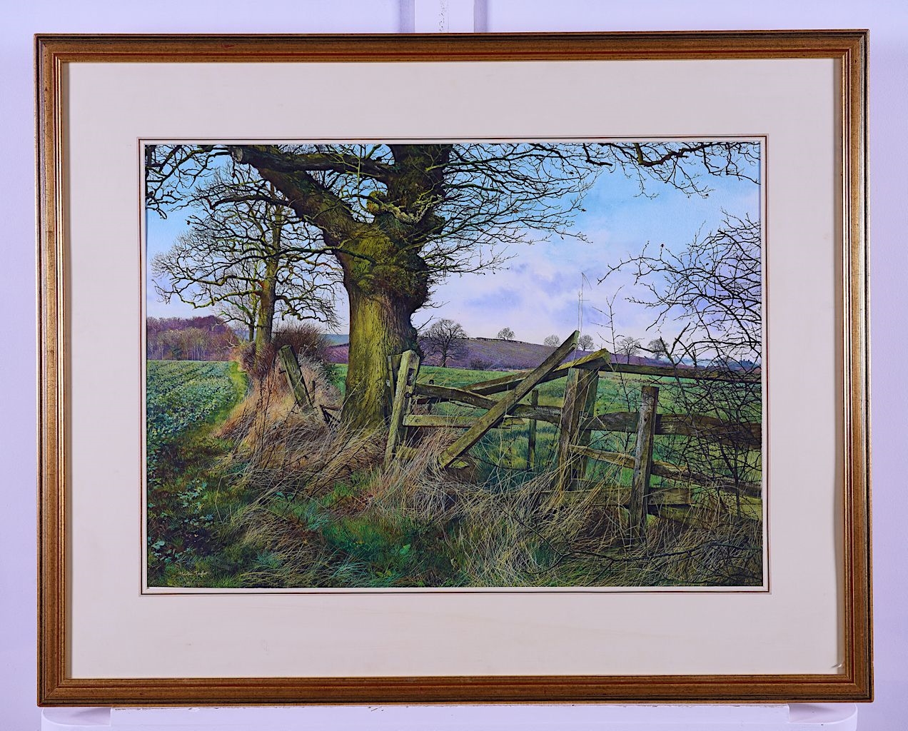 Martin Taylor | The Broken Fence | MutualArt