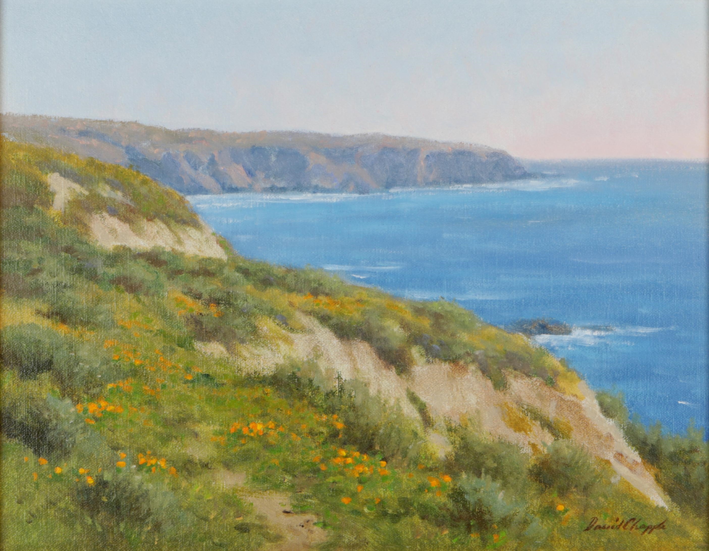 David Chapple | DAVID CHAPPLE : SPRING BLUFFS | MutualArt