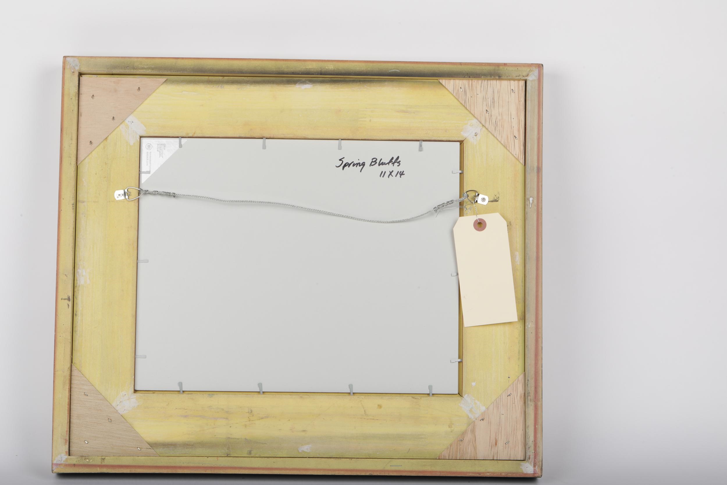 David Chapple | DAVID CHAPPLE : SPRING BLUFFS | MutualArt