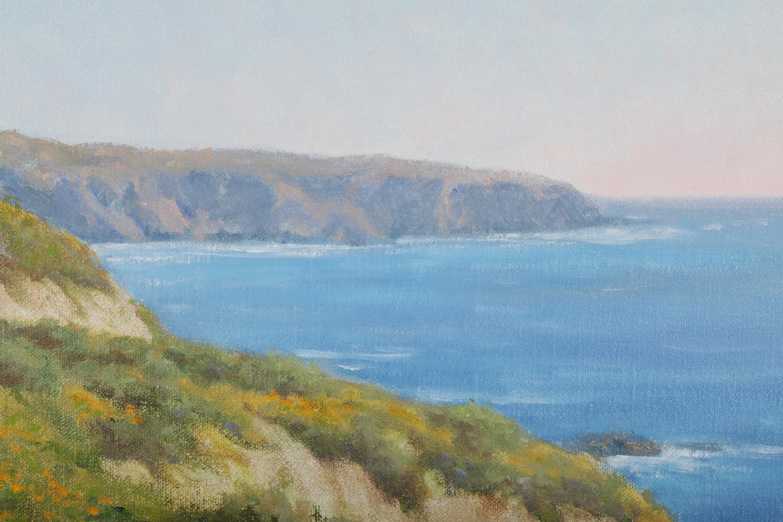 David Chapple | DAVID CHAPPLE : SPRING BLUFFS | MutualArt
