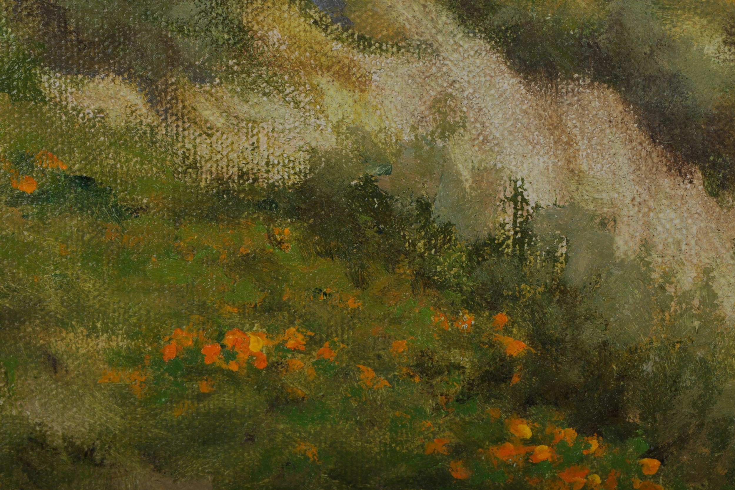 David Chapple | DAVID CHAPPLE : SPRING BLUFFS | MutualArt